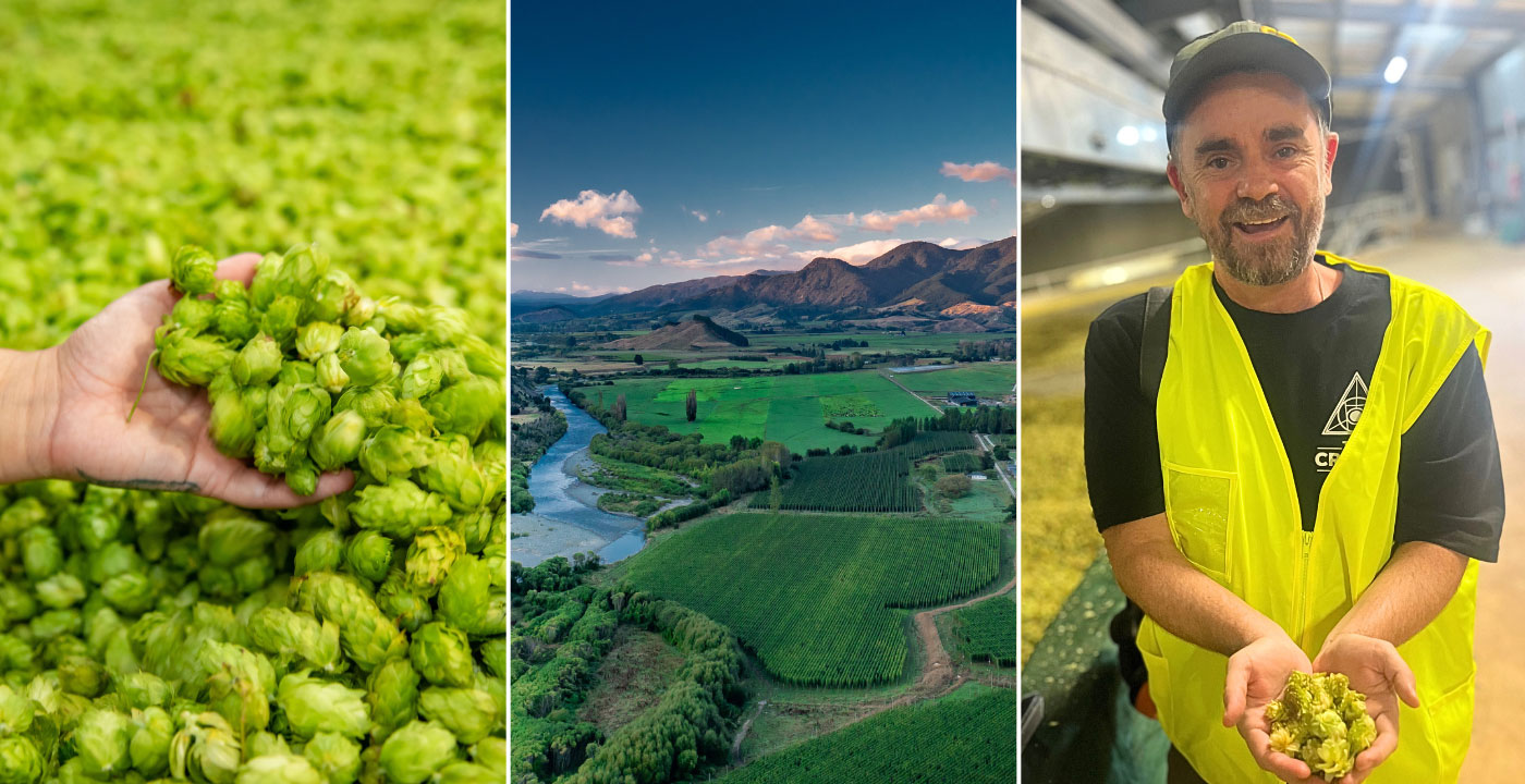 From Bine To Beer: On Tour With Aussie Brewers At The NZ Hop Harvest ...