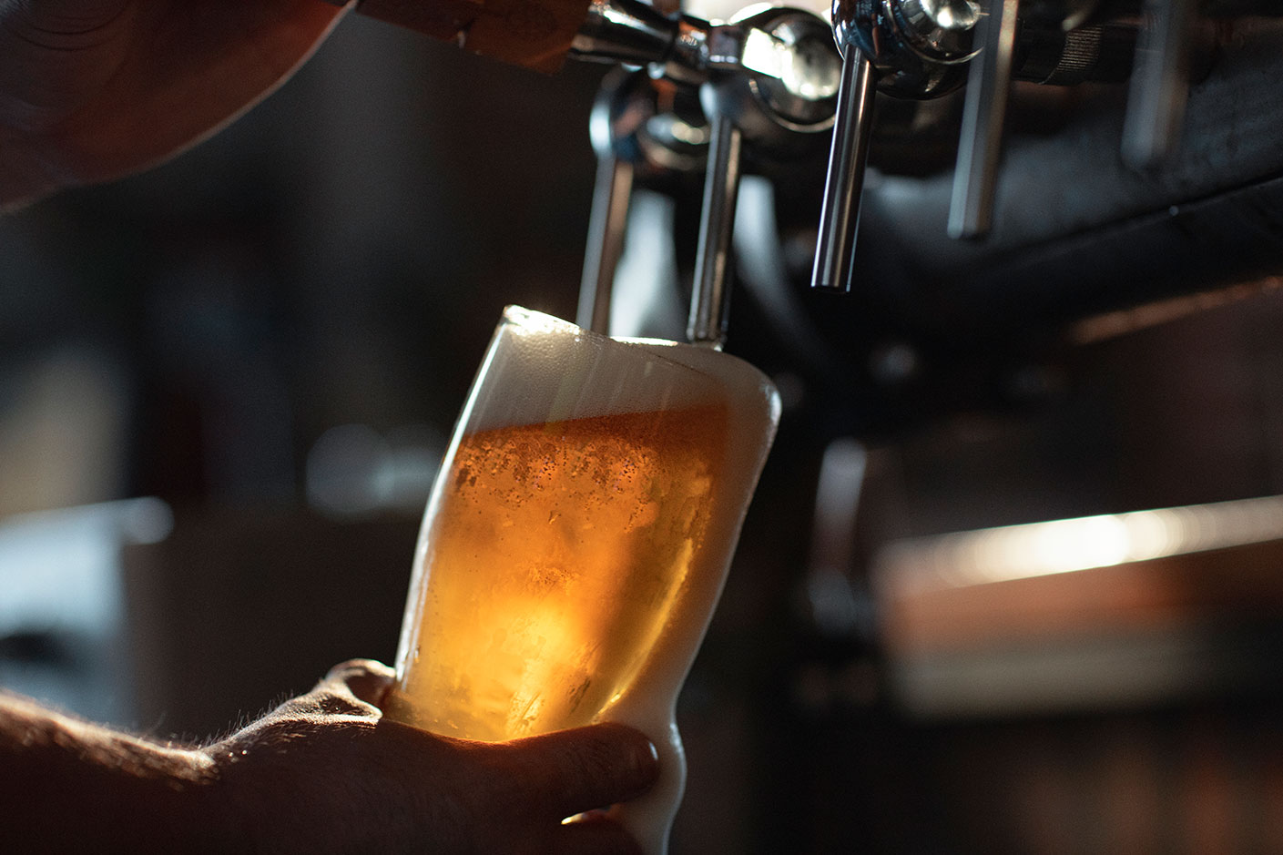 Novonesis - The Crafty Pint