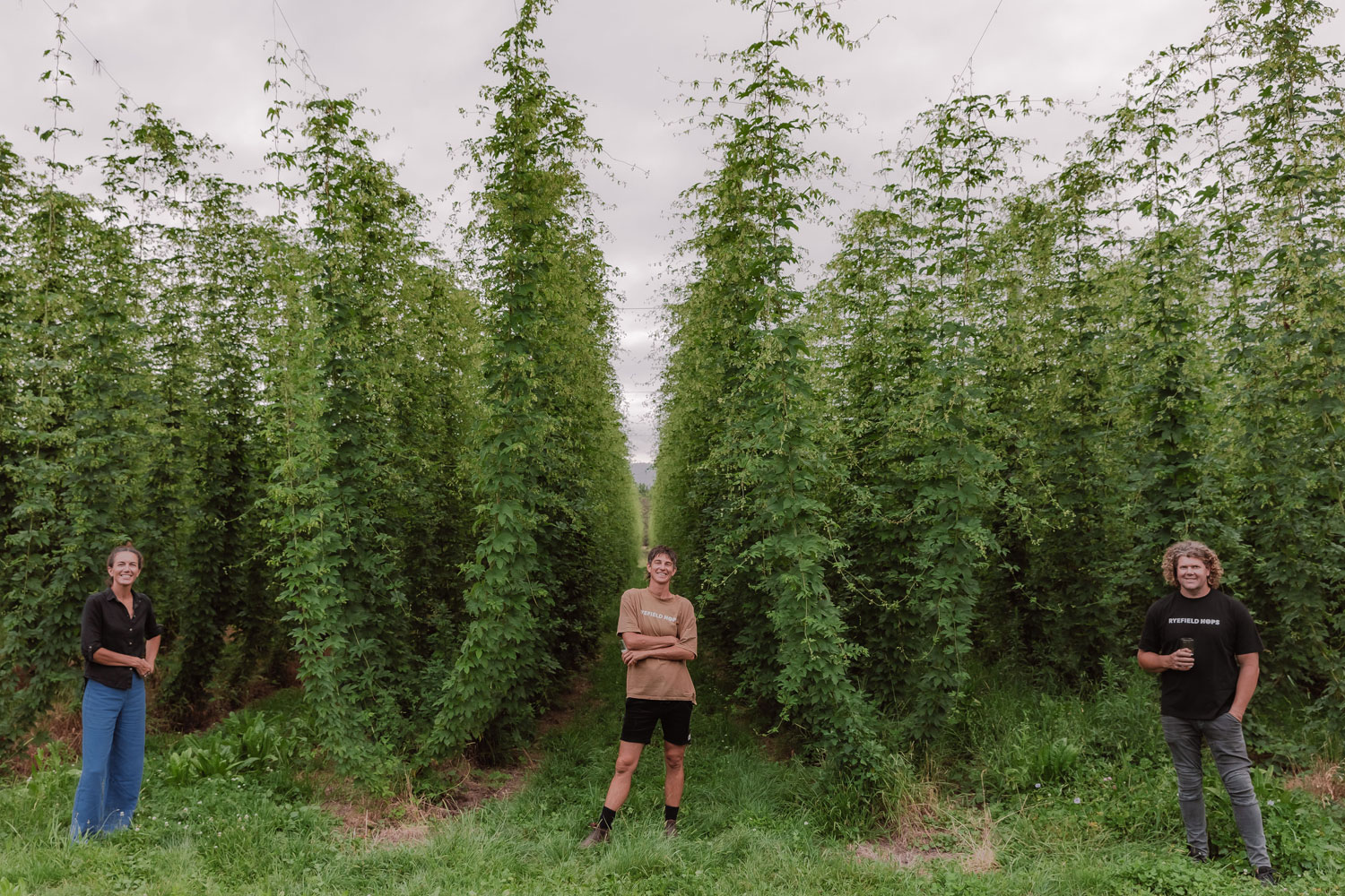 Ryefield Hops - The Crafty Pint