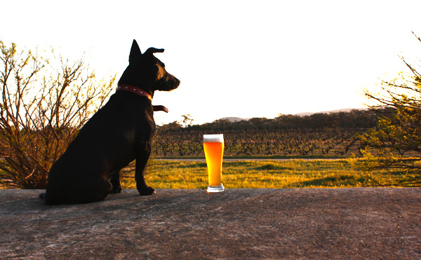 Joining The Pack - The Crafty Pint